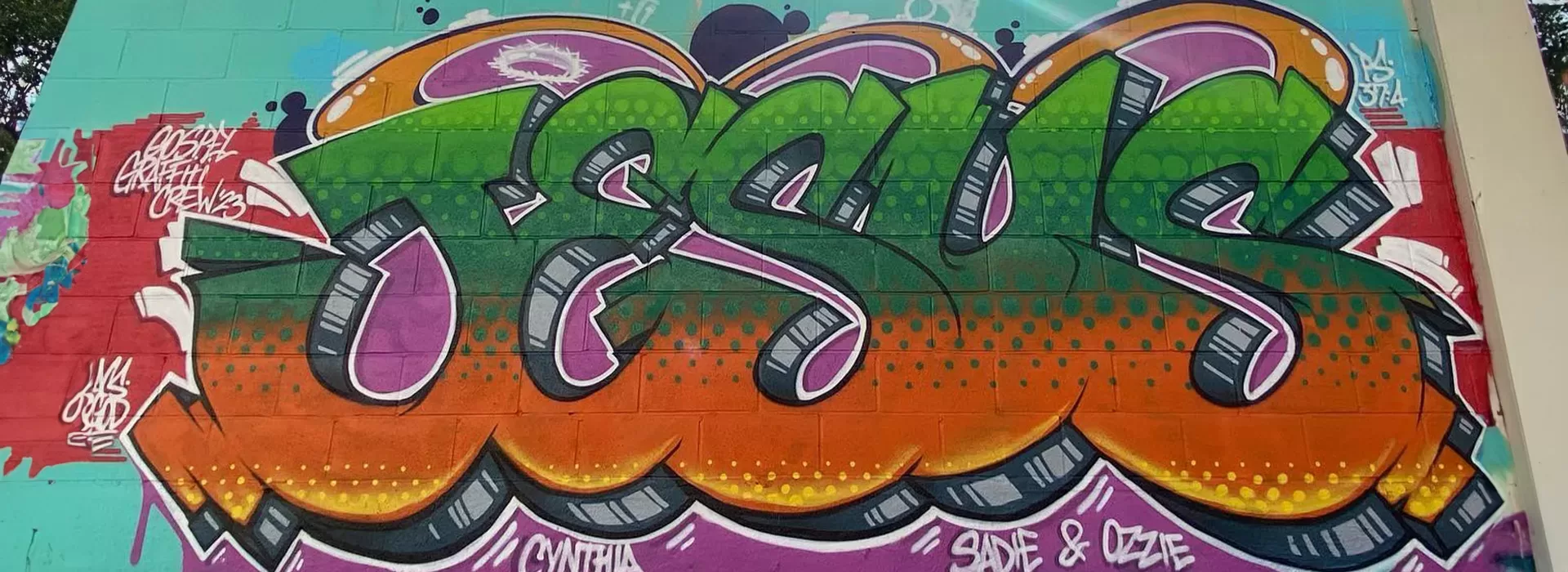 Aaron Darling Austin Muralist | Austin, TX